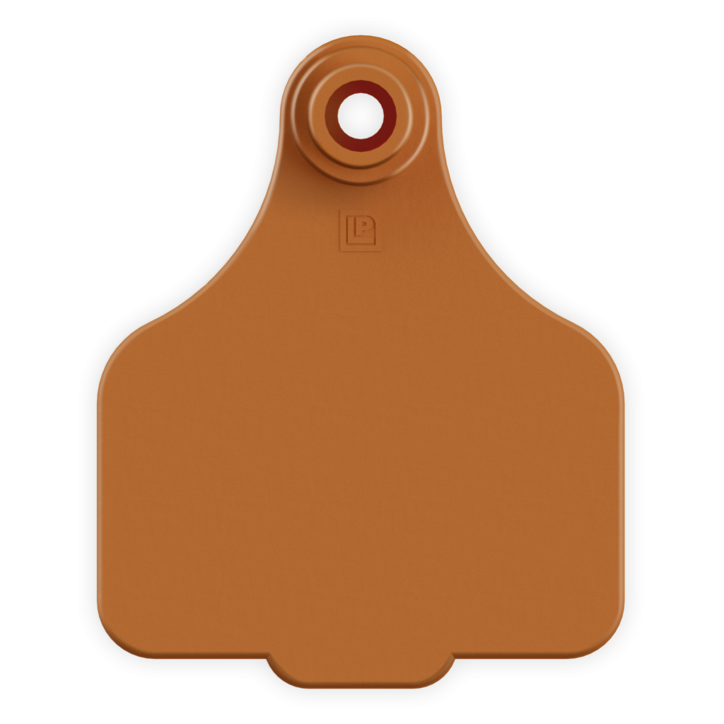 Management Tag, Size 3