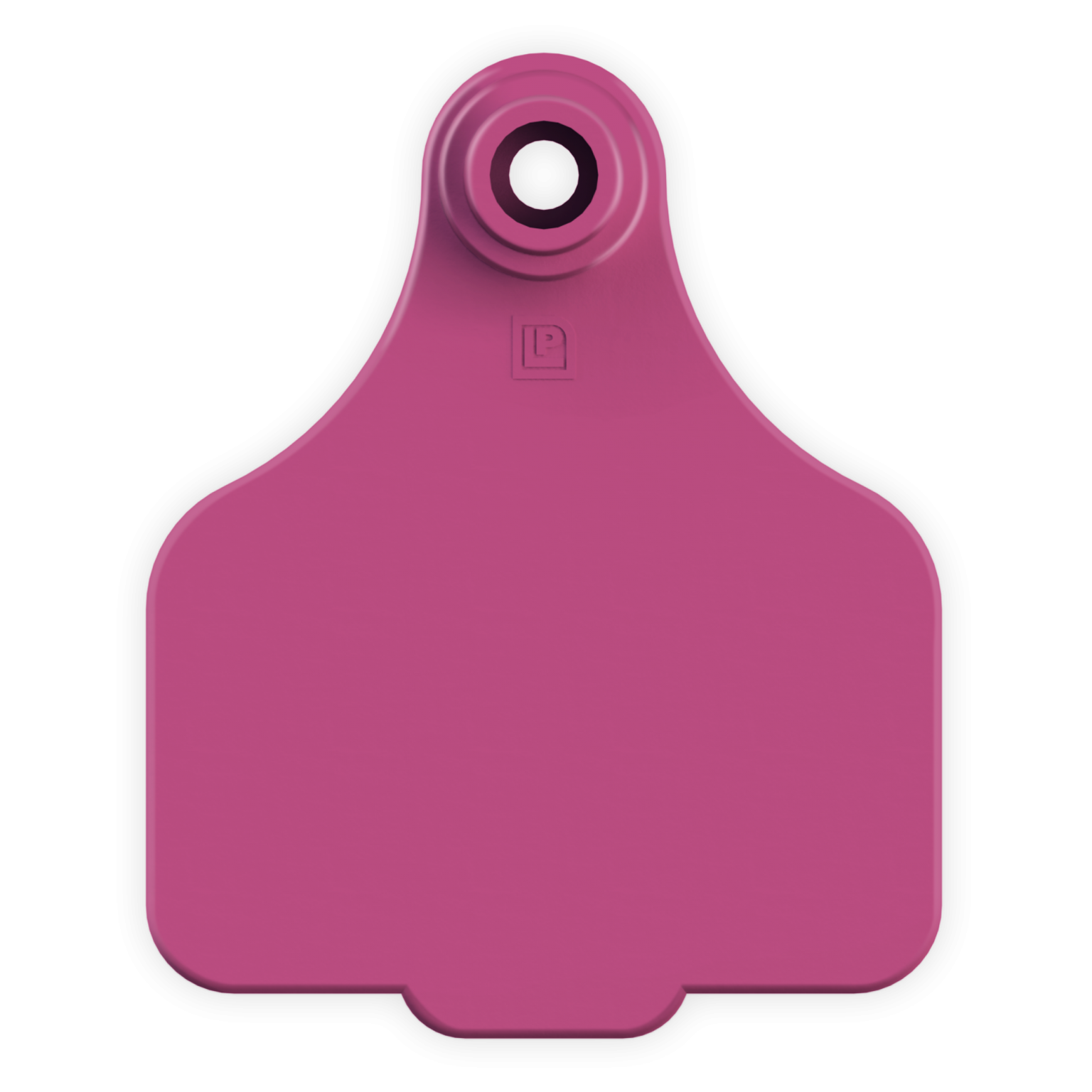 Management Tag, Size 3