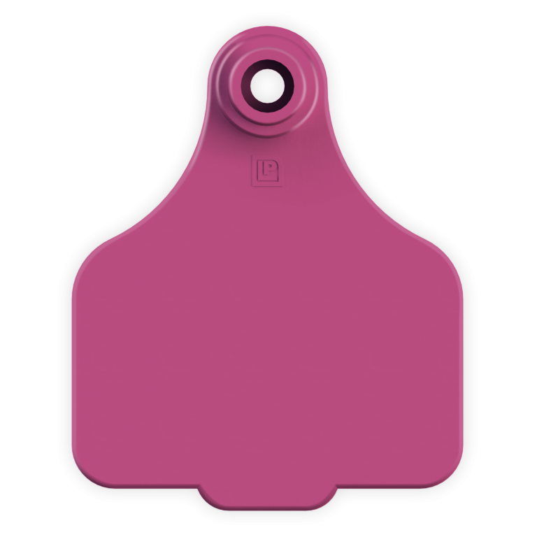 Management Tag, Size 3