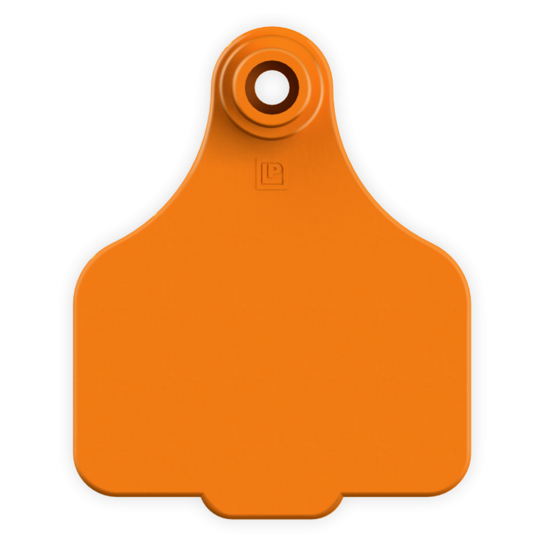 Management Tag, Size 3