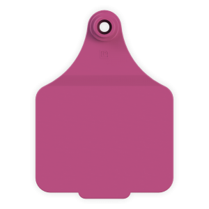 Management Tag, Size 4 (Short Neck)