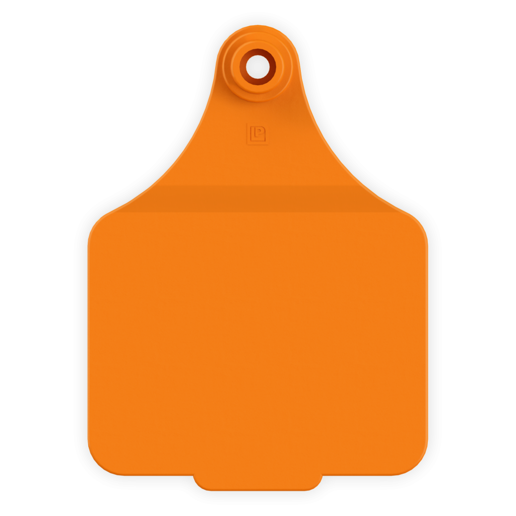 Management Tag, Size 4 (Short Neck)