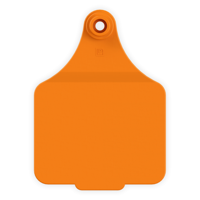 Management Tag, Size 4 (Short Neck)