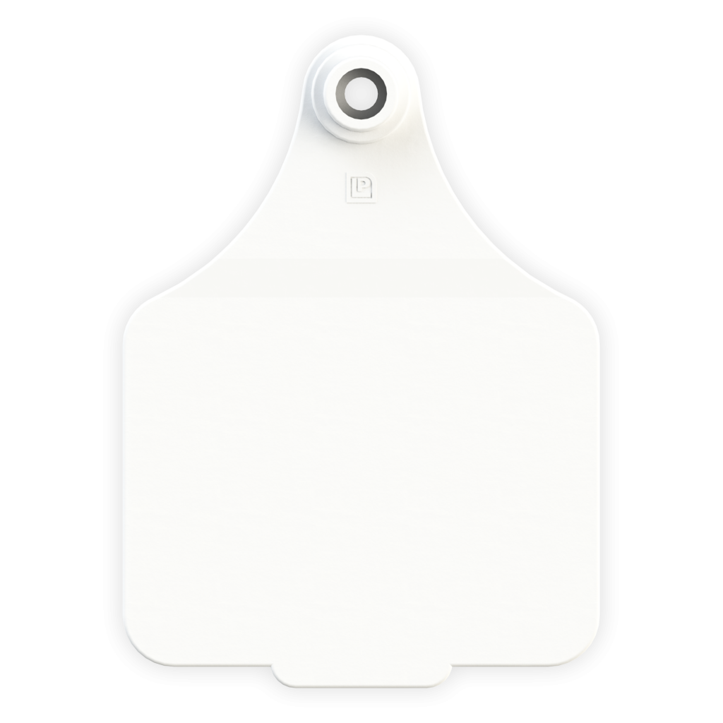 Management Tag, Size 4 (Short Neck)