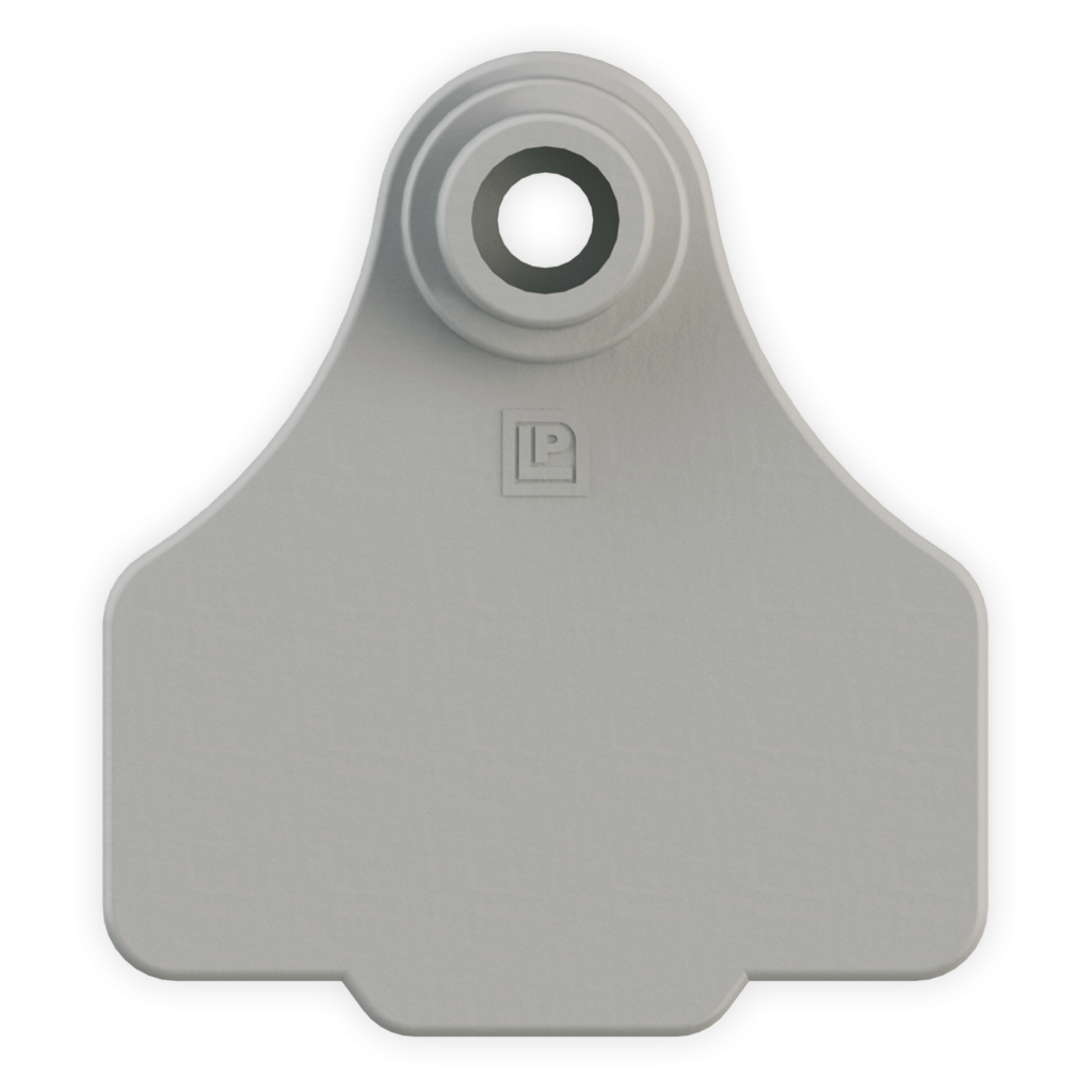 Management Tag, Size 2