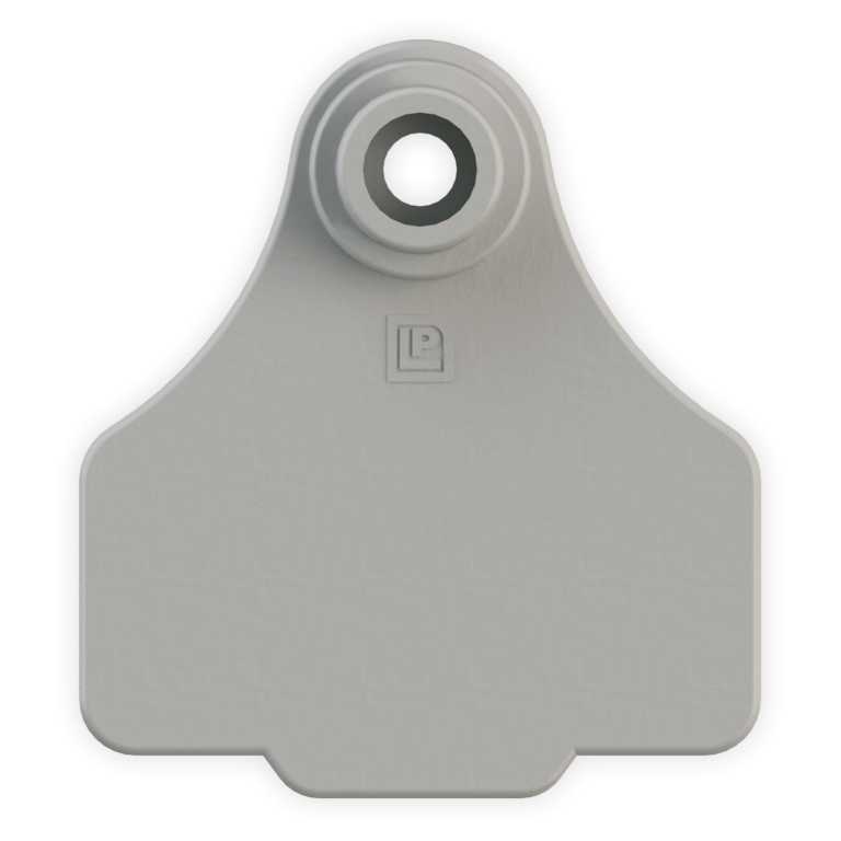 Management Tag, Size 2