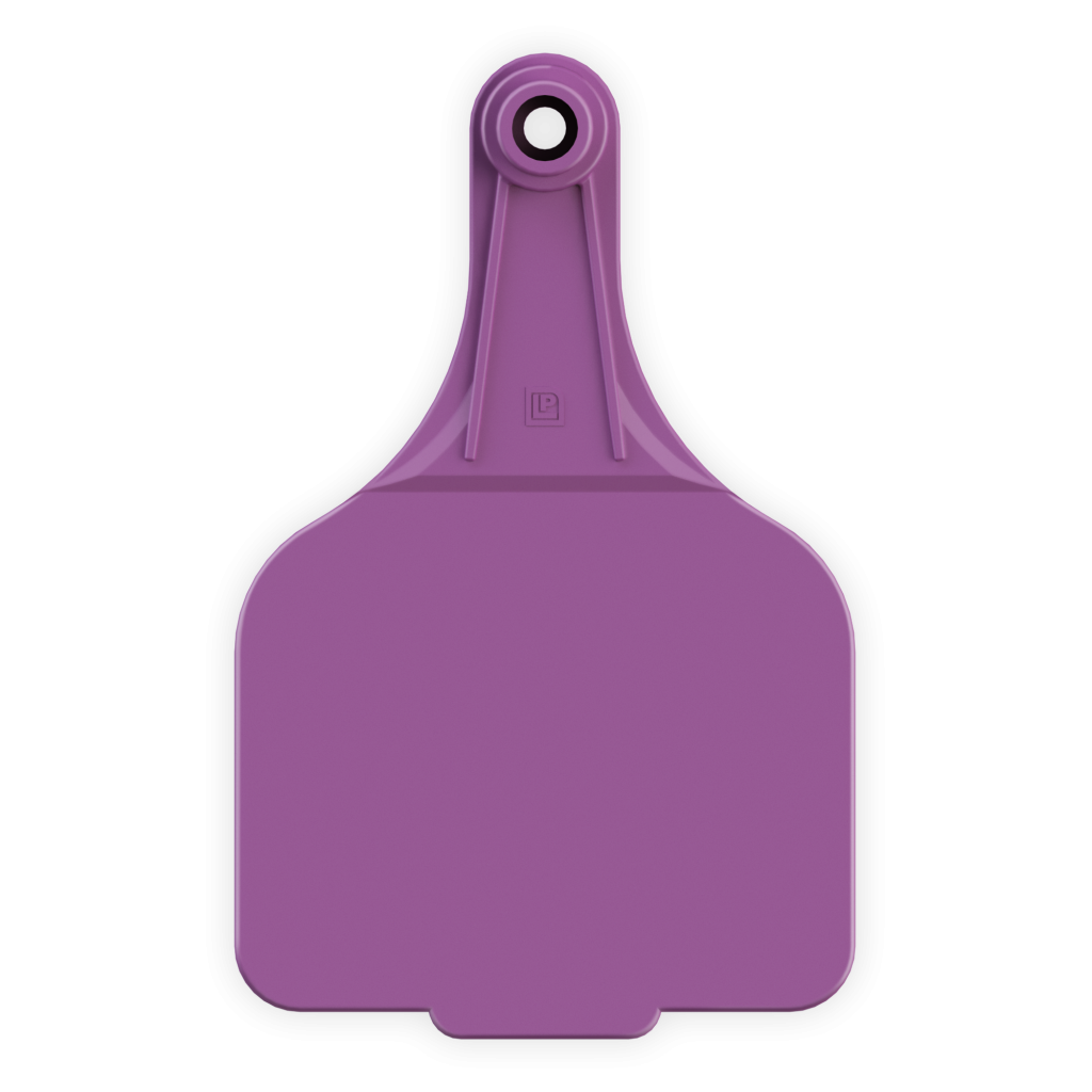 Management Tag, Size 4, Long Neck