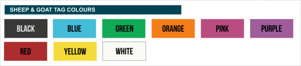 Multitag Sheep Tag (Non-NLIS)