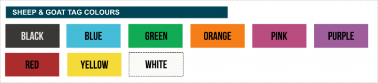 Multitag Sheep Tag (Non-NLIS)