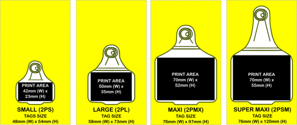 Promotional Event Tags. Custom printed with your logo.